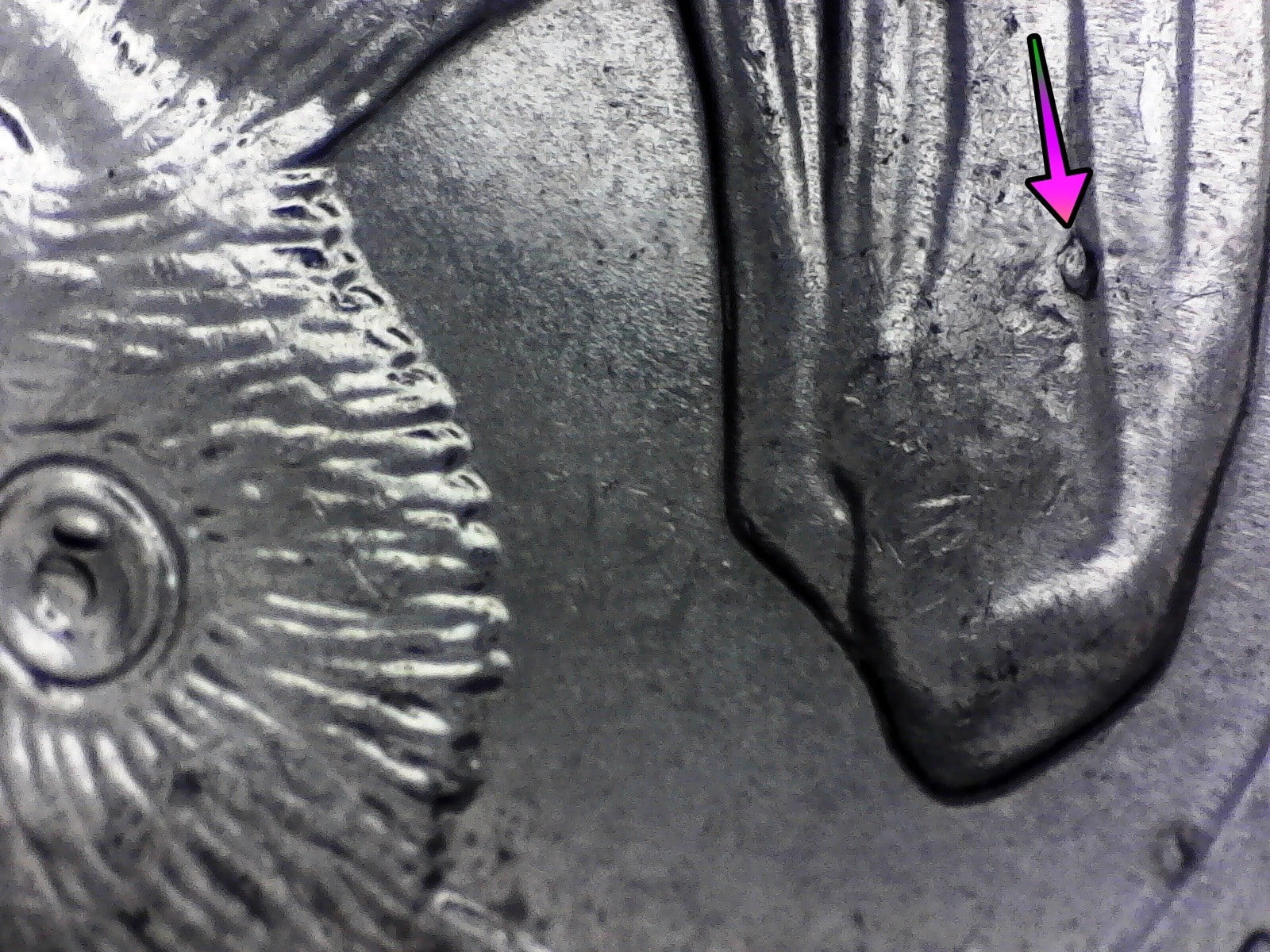 2020 American Samoa Quarter Errors, Varieties, & Values